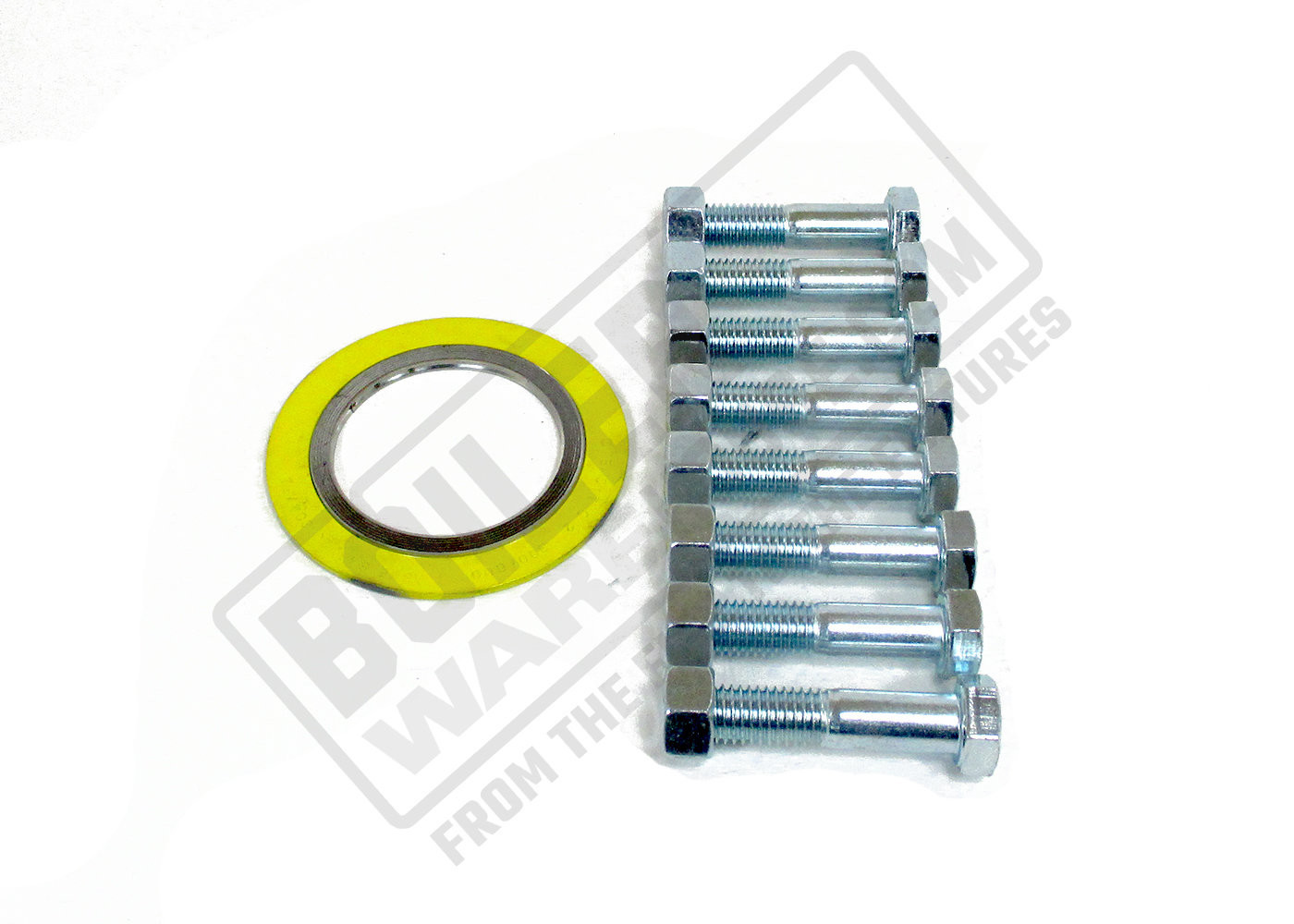 2" 300# Flange Packs W/ GR5 Bolts, Nuts and 304SS Spiral Wound Gasket ...
