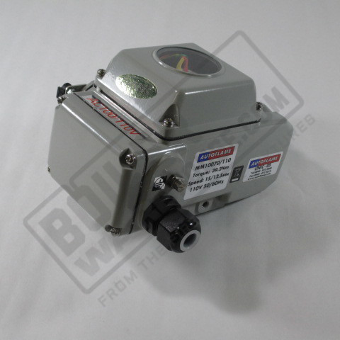 Industrial Servo Motor AUTOFLAME | Products | BoilerWAREhouse